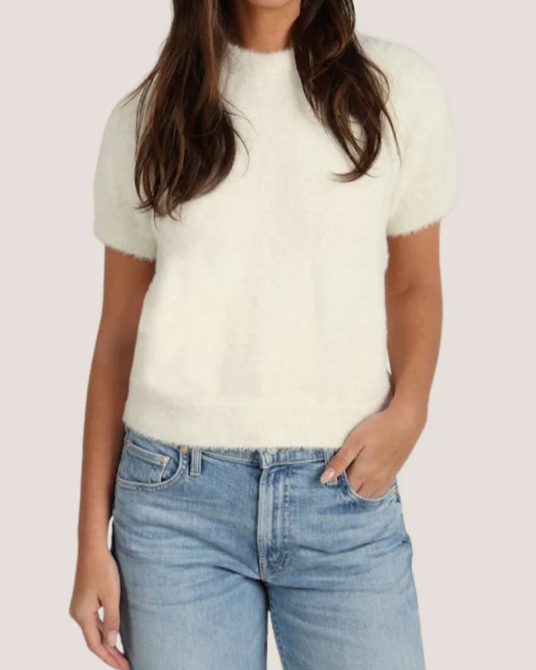 Dylan Teddy Sweater – Narcissus Gainesville